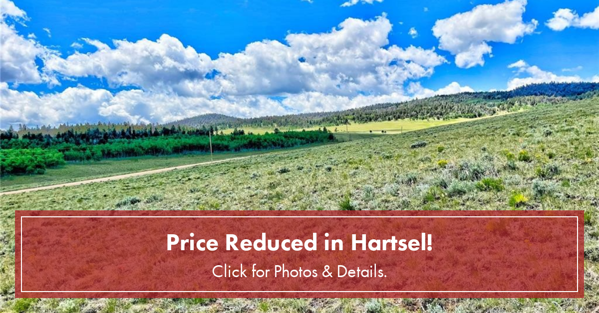 11162 RANCH ROAD, Hartsel, CO 80449 - presented by JoAnn MacDougall